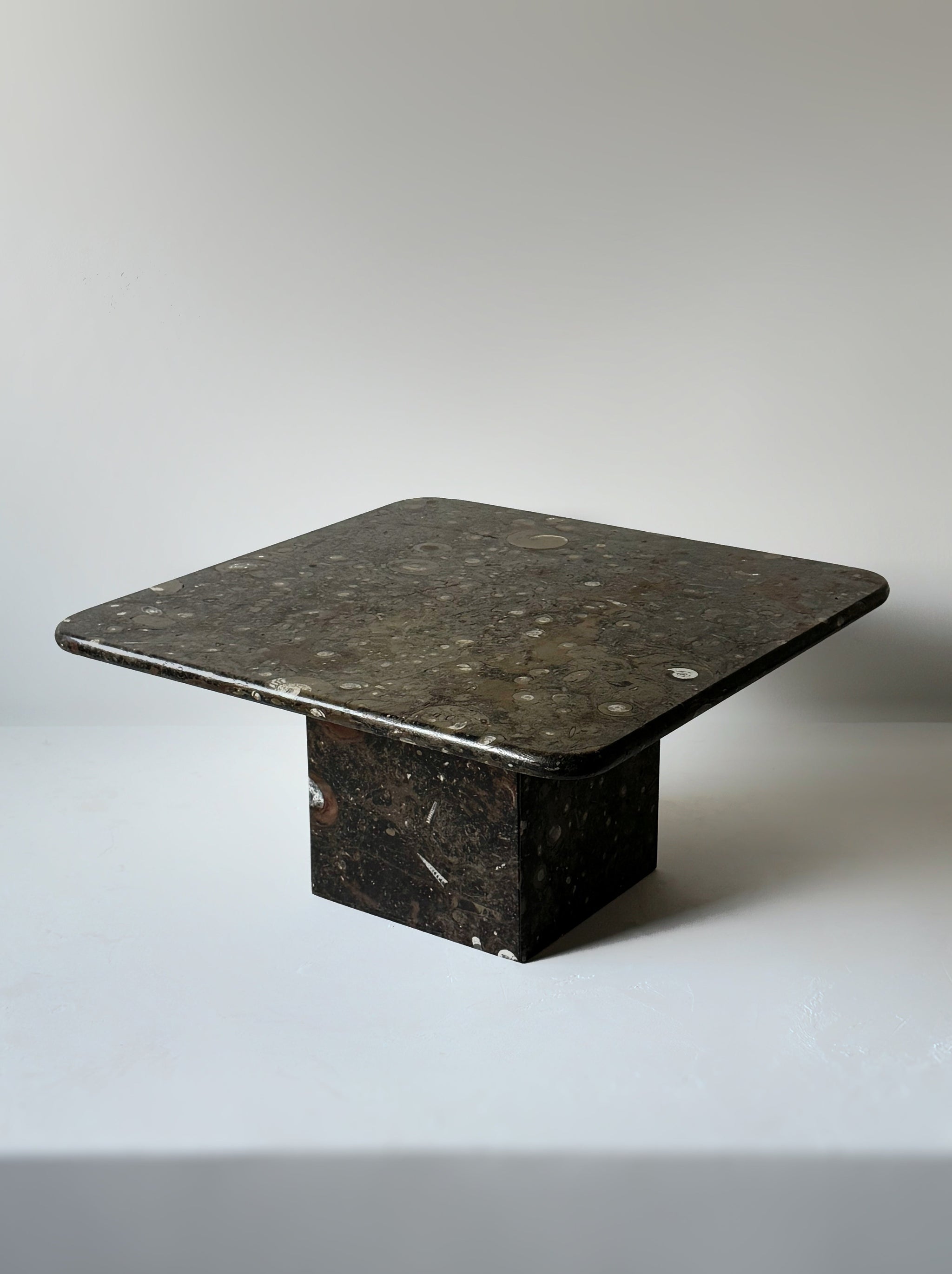 Fossil Stone Coffee Table
